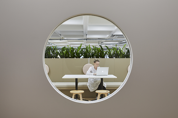 Chris Snook . Commercial