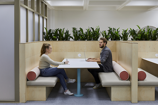 Chris Snook . Commercial